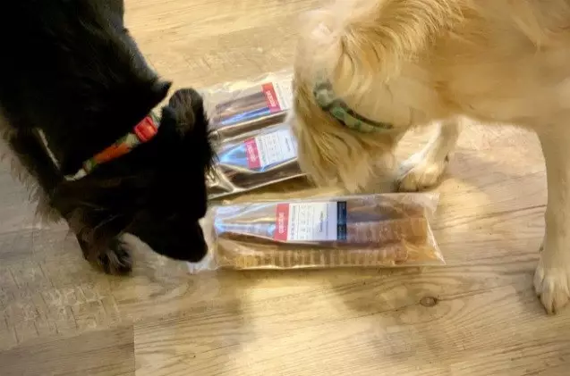 MyBullySticks: All Treat, No-Stink Bully Sticks για τον καλύτερο φίλο σας 14931_3