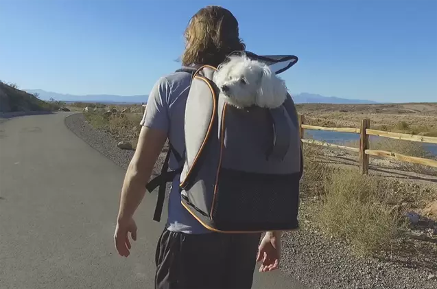 Ndihmoni Kickstarter Pet Backpack të zbresë nga toka 15029_1