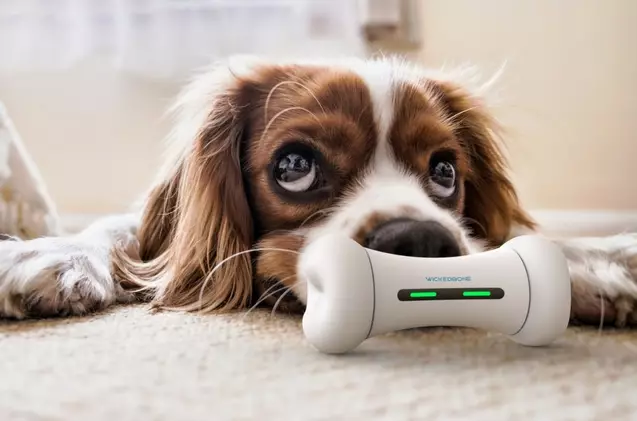 Wickedbone de Kickstarter es un juguete para perros inteligente e interactivo para padres ocupados 15324_1