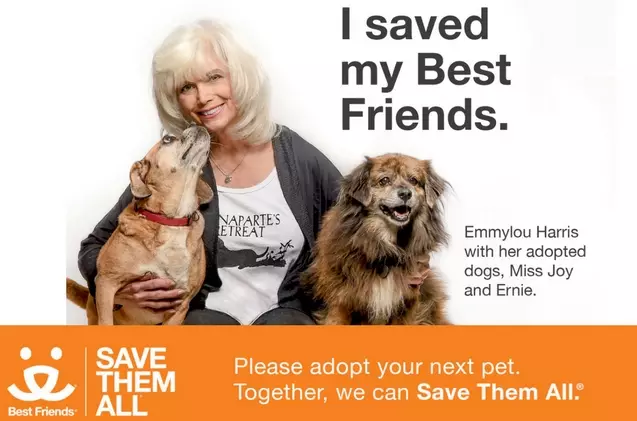 Emmylou Harris 在 Best Friends Animal Society 的活动中为庇护犬挺身而出 153_1