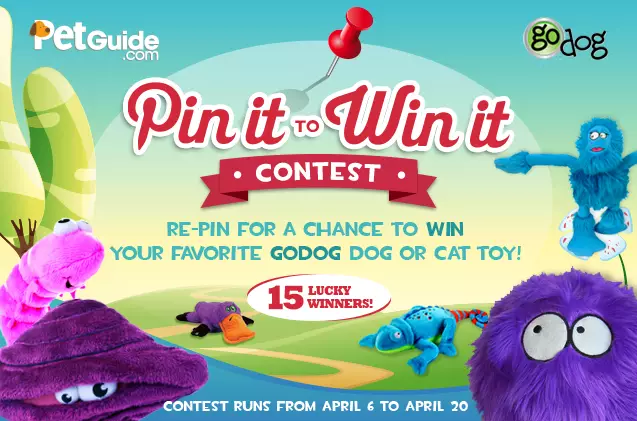 ¡El primer concurso Pin It To Win It de PetGuide en Pinterest! 15522_1