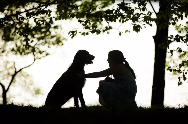 Mükemmel Resim: Bu Köpek Fotoğrafçılarının Ödüllü Resimlerine Bakın 156_4