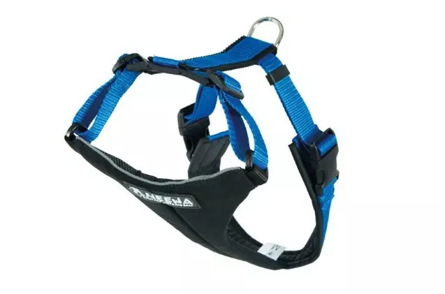 Neewa ikambani yakavimbiswa harness