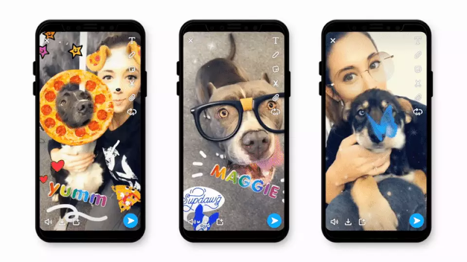 Snapchat Membuat Liburan Dengan Lensa Baru Hanya Untuk Anjing 15863_3