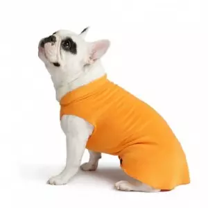 gold-paw-series-stretch-fleece-pullover-1