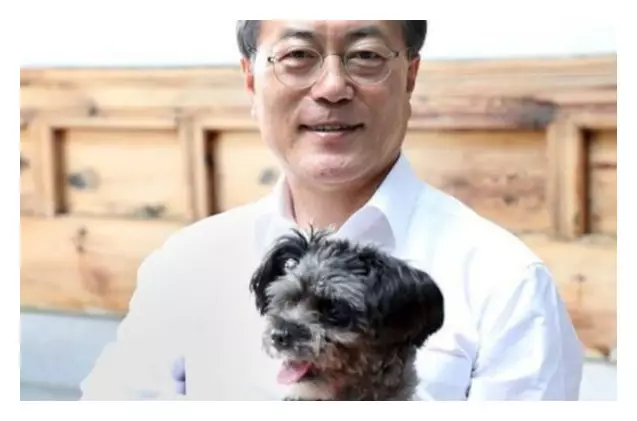 O novo presidente de Corea do Sur adopta un can de refuxio como parte da promesa da campaña 16155_1