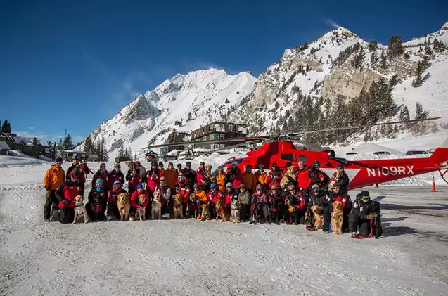 Subaru nutzt Schneetage, um das Training von Ski Patrol Dogs zu finanzieren 16196_1