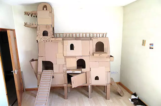 abantu benza-cathouse-out-of-cardboard