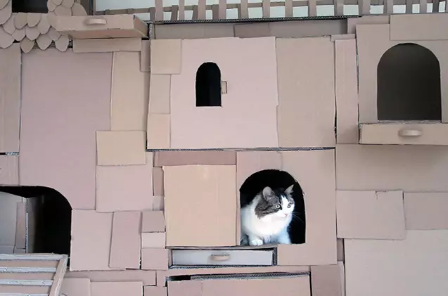 i-man-makes-cathouse-out-of-cardboard-2