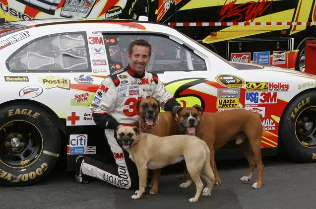 Vroom, Vroom! NASCAR Pet Calendar varvar upp för att hjälpa husdjur i nöd 16324_1