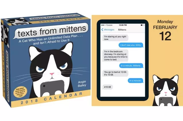 Katten vantar skickar texter i denna roliga kalender!