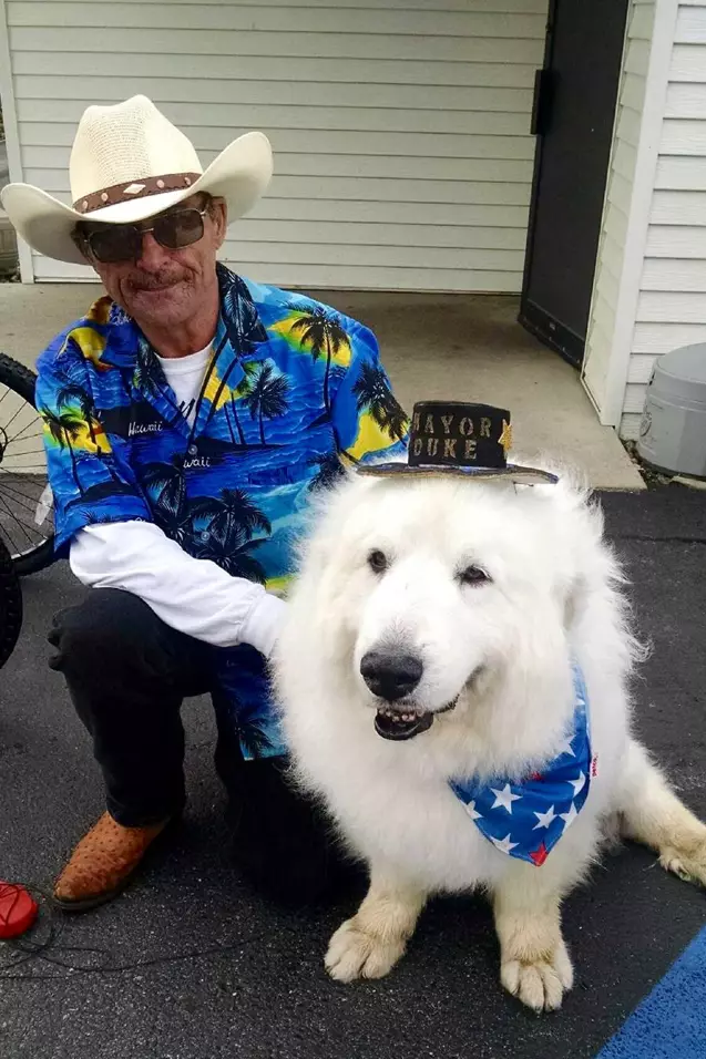 Este sábado, 20 de agosto de 2016, foto fornecida por Karen Nelson mostra o proprietário, Dave Rick, com seu cachorro, Duke, um Great Pyrenees de 9 anos, que ganhou um terceiro mandato de um ano como prefeito honorário de Cormorant Township, Minn O grande cão branco desgrenhado foi reeleito de forma esmagadora no sexto festival anual Cormorant Daze. (Deb Rick via AP) ORG XMIT: CAET310