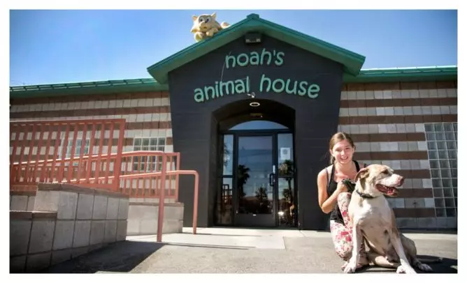 La casa de animales de Noah mantiene unidas a las mascotas y las familias de la violencia 16701_1