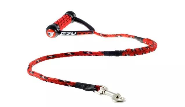 Bu bungee leash, dürli ölçegli Bernedoodles üçin ajaýyp wariant