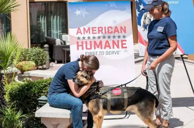 Militær bombe-sniffende hund slutter sig til handler for velfortjent pensionering 16892_1