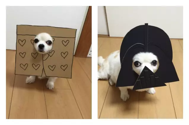 Cardboard Canine Costumes tsoo peb! 17519_1