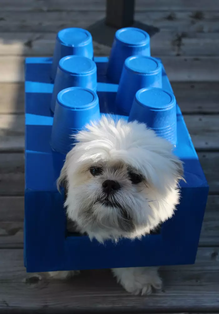 DIY-lego-dog-1