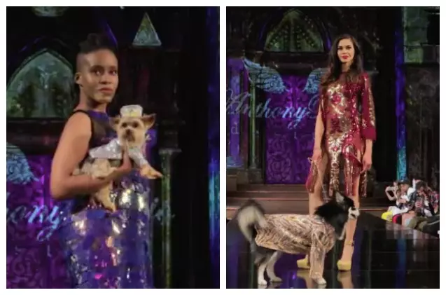 I modelli Doggy erano in mostra alla settimana della moda di New York