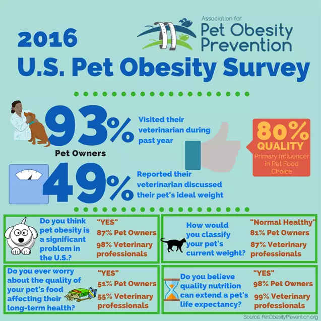 Studi: Hewan Peliharaan AS Lebih Berat Dari Sebelumnya 18303_2