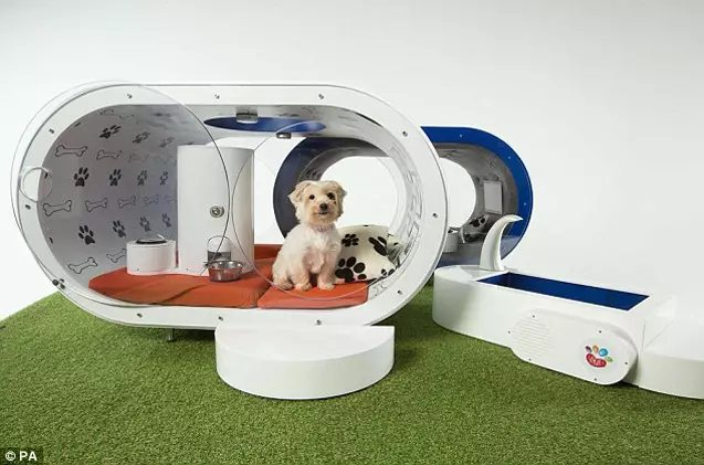 Иә, бұл 30 мың доллар тұратын Samsung Dream Doghouse қажет [Бейне] 18347_1