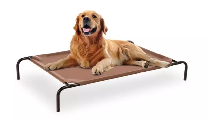 Libaka tse Hloahloa tsa Lintja tse kholo ka ho Fetisisa: Frisco Steel-Framed Elevated Dog Bed