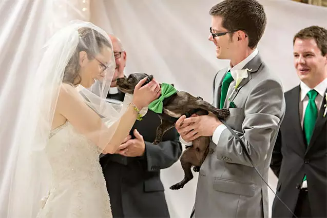 3DogatWedding