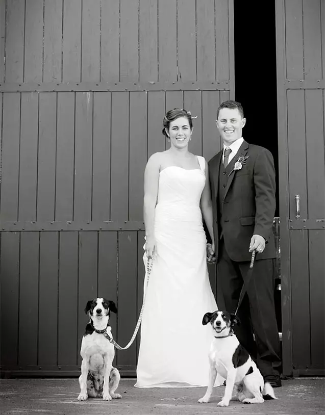 5DogsatWeddings