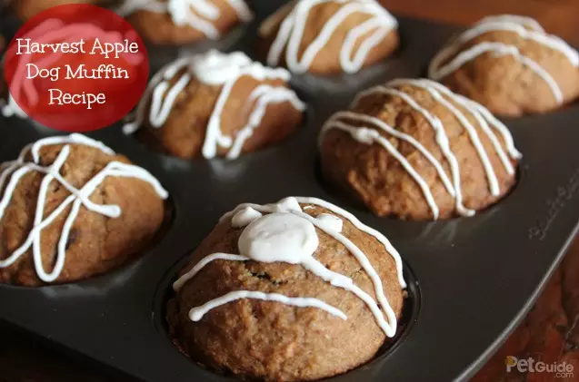 De wonnerschéinen Aroma vun dësen Harvest Apple Muffins wäert Äre Mond Waasser maachen och ier Dir se aus dem Uewen hëlt.