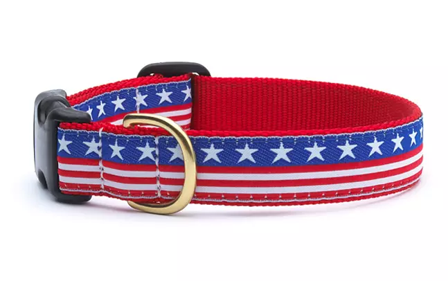 American-Picnic-stars-and-stripes-dog-collar