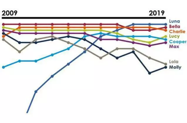 Nombres populares de cachorros para celebrar el Día Nacional del Cachorro