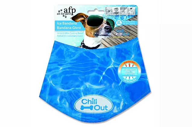 සිසිල් සුනඛයින් සඳහා උණුසුම් තේරීම්: Icy Dog Bandana