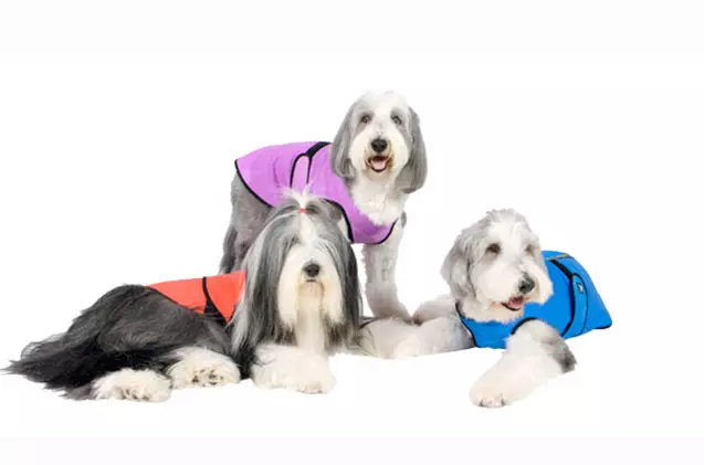 Nhọrọ na-ekpo ọkụ maka Cool Canines: Pet Cooling Vest