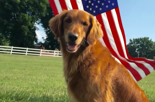 Bush's Baked Beans Spokesdog Duke krydser regnbuebroen 19619_1