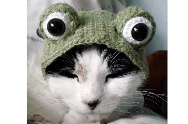 Topi Ucing Heboh: Knitted Cat Beanie