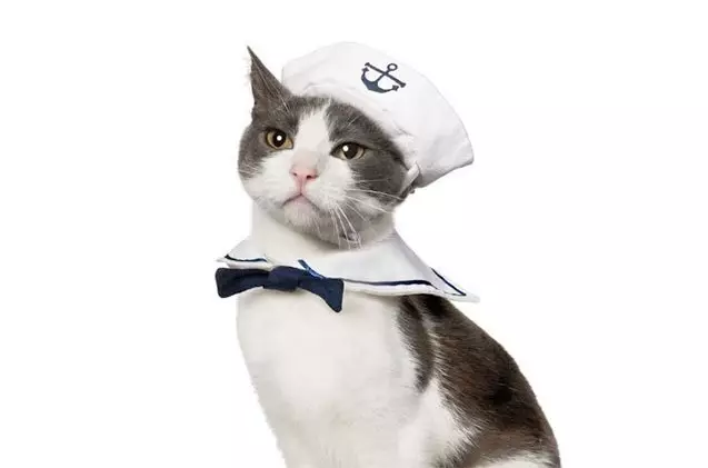 Fabulous Cat Hat: Navy Cat Hat