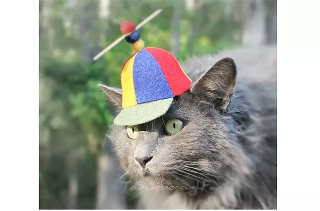 Talagsaon nga Cat Hat: Propeller Cat Hat