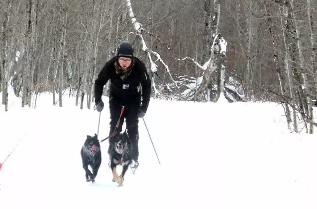 8 dicas sobre como se preparar para sua primeira corrida de Skijoring 2014_1