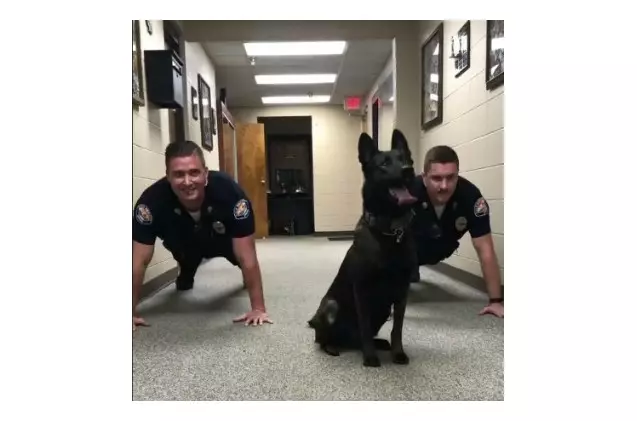 ¡K-9 Crime Fighter hace flexiones mejor que tú! 20282_1