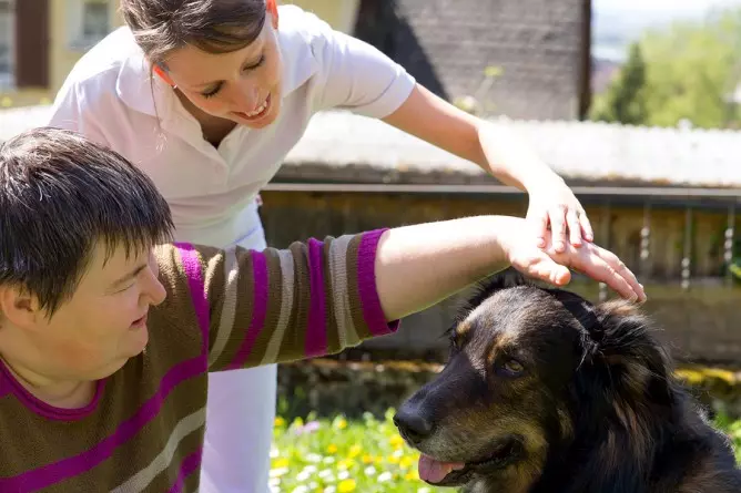 Perché la frode dei cani di servizio non è contro la legge? 2056_1