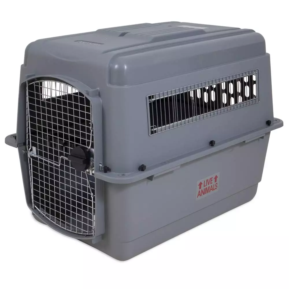 Sab saum toj 10 Zoo Tshaj Plaws Dog Crates: Petmate Ntuj Kennel