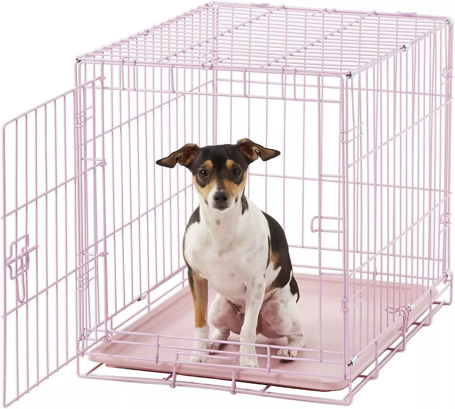 Sab saum toj 10 Zoo Tshaj Plaws Dog Crates: Carlson Cov Khoom Siv Tsiaj Zoo & Compact Ib Qhov Rooj Hlau Dog Crate