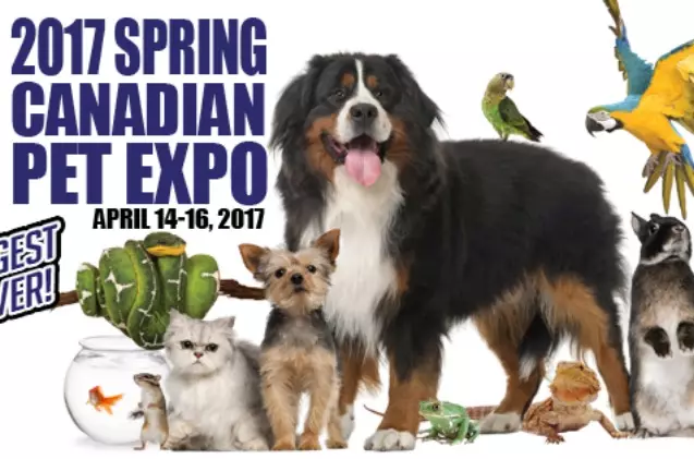 Animais de estimação e espreitadelas são bem-vindos na 2017 Spring Canadian Pet Expo 21460_1