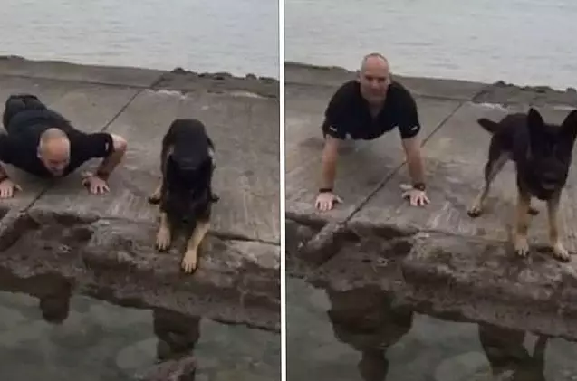 Politieagent en Pooch doen push-ups voor veteranen [Video] 2148_1