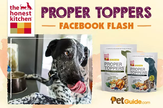 Concurso Flash de Facebook Proper Toppers de Honest Kitchen 21646_1