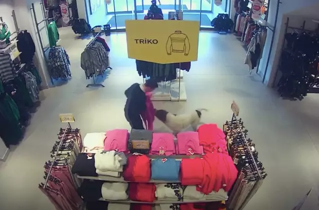 Stray Dog Gefangen Shoplifting Kleeder an engem witzegen Sécherheetscam Video 216_1