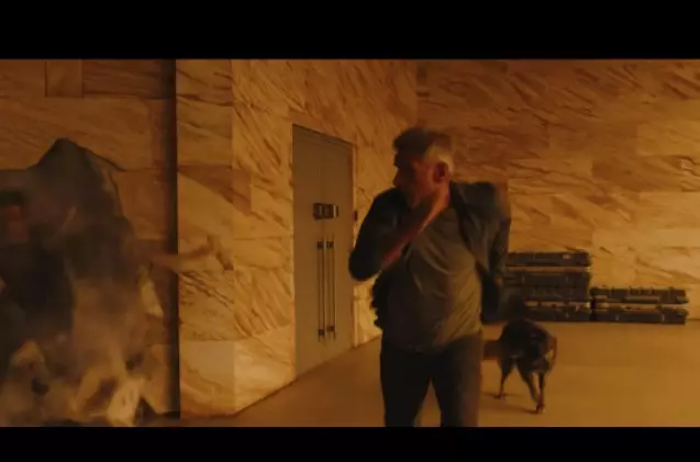 Жұмбақ Bladerunner 2049 ит АҚШ-тың Palm Dog сыйлығын жеңіп алды 2173_1