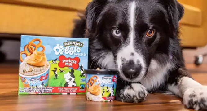 Pencuci mulut Doggie Dari Ben & Jerry's? Ya sila! 21752_1