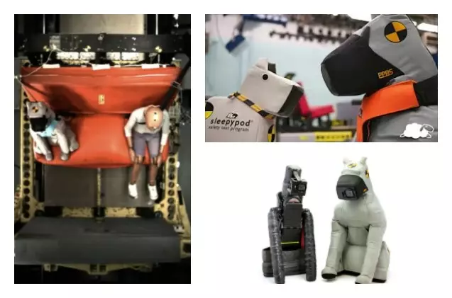 Sleepypod İndiyə qədər Ən Qabaqcıl Crash Test İtini Təqdim edir 21812_1