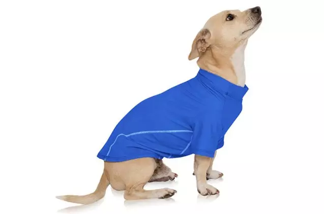 Iyo playpup swim shirt yembwa inodzivirira zvikuru SPF