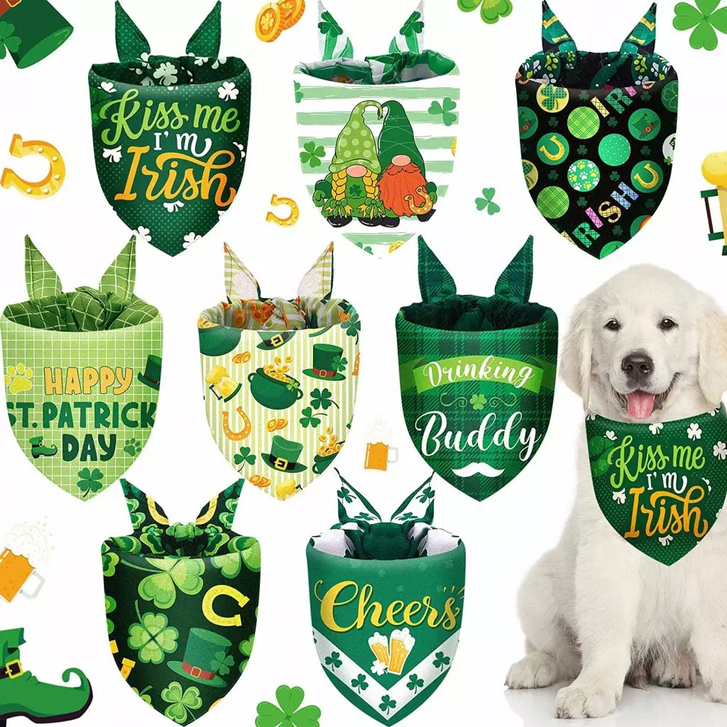 17 Hadiah Terbaik Hari St. Patrick Untuk Anjing 22079_10